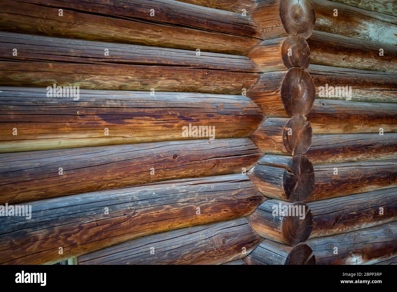 Old wood log background with cracks and lines. Light in the middle with ...