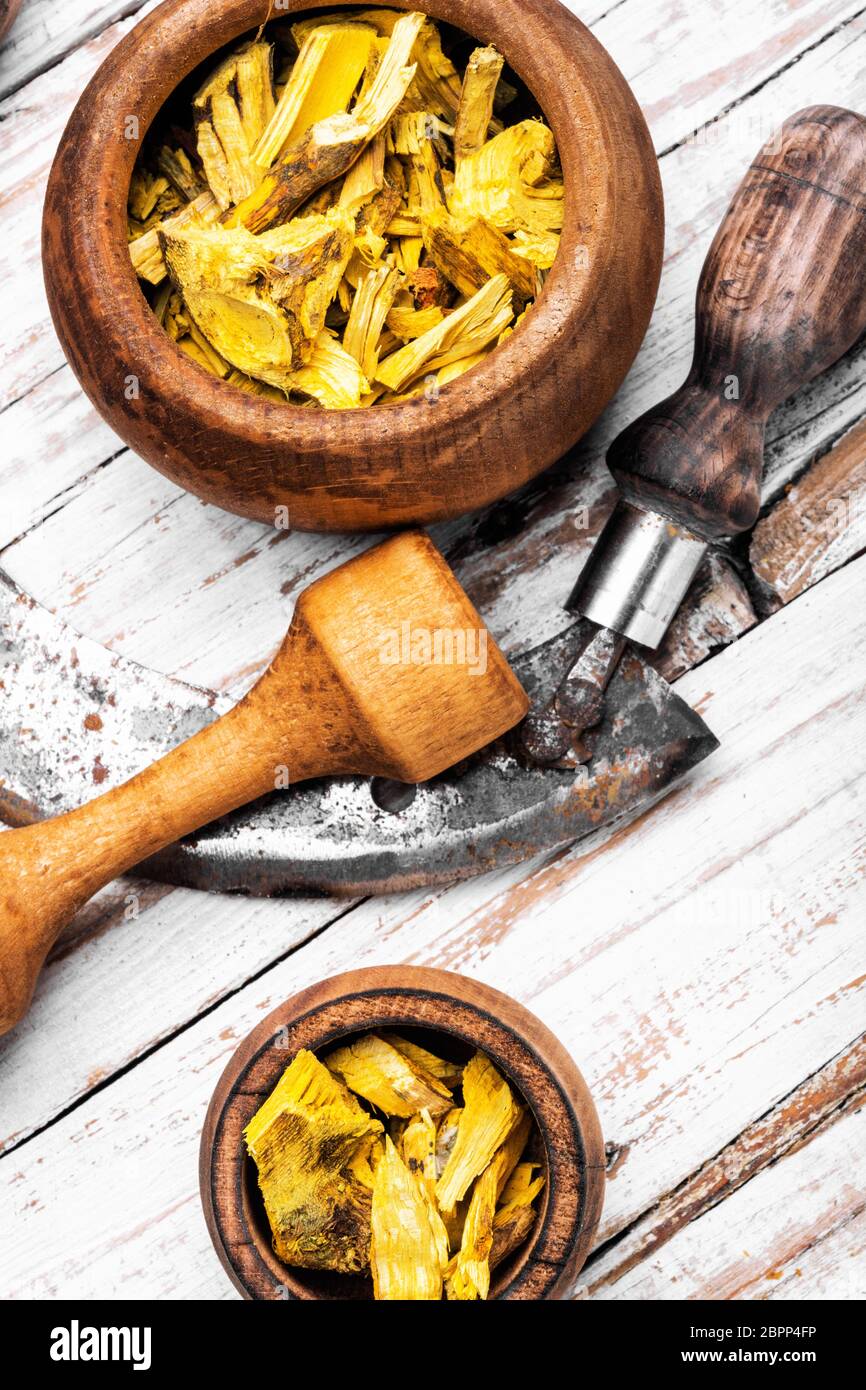 Barberry root.Dried herbs for use in alternative medicine.Herbal ...