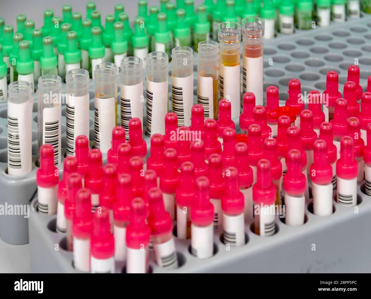Test tube racks hi-res stock photography and images - Alamy