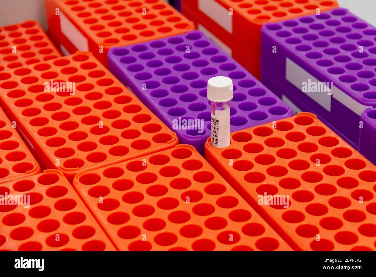closeup shot of medical sample racks Stock Photo - Alamy
