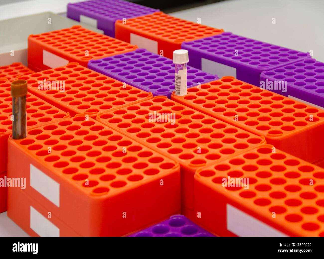 Sample racks hi-res stock photography and images - Alamy