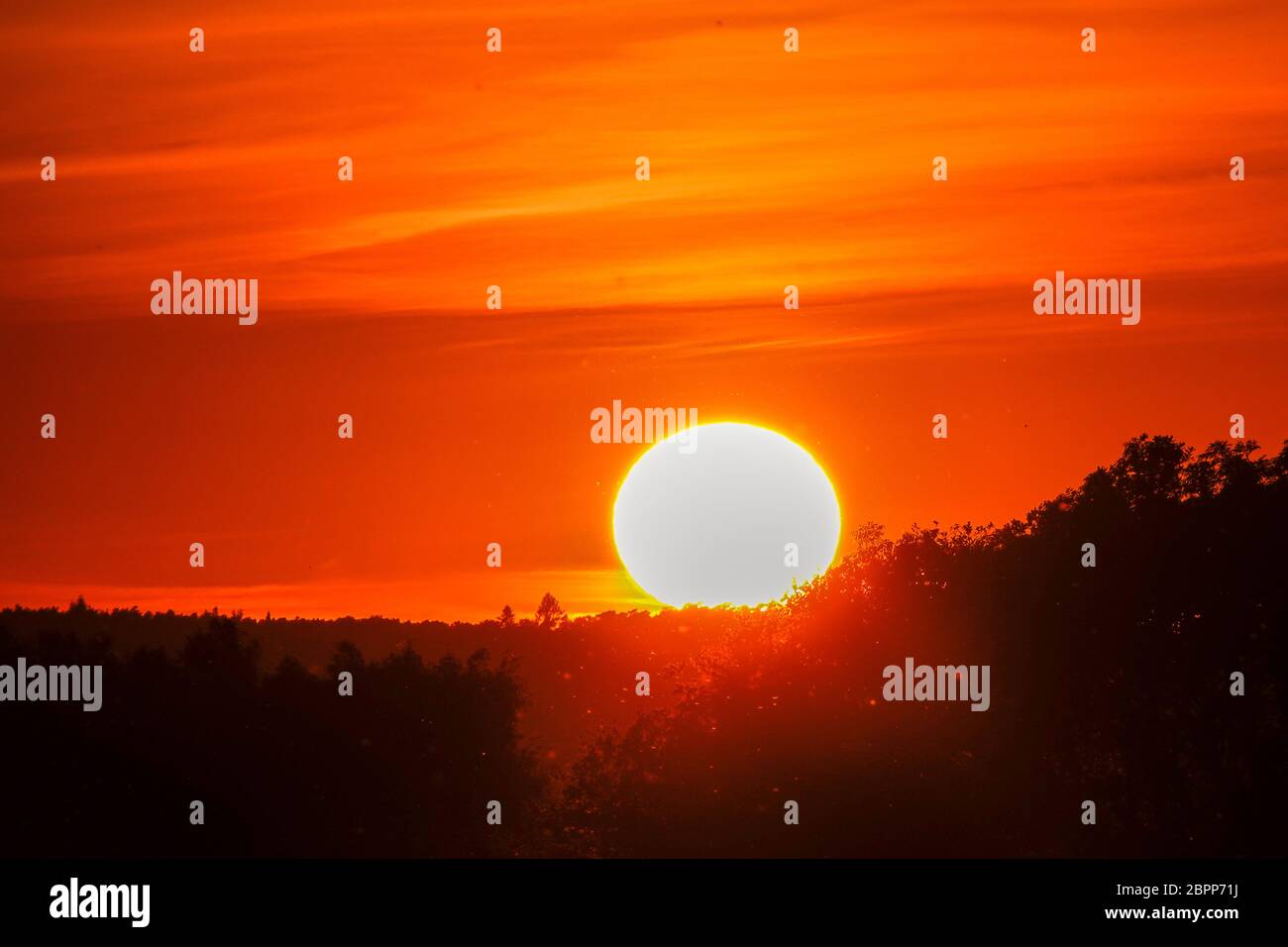 Tuesley Farm, Godalming. 19th May 2020. A beautiful end to the day for ...