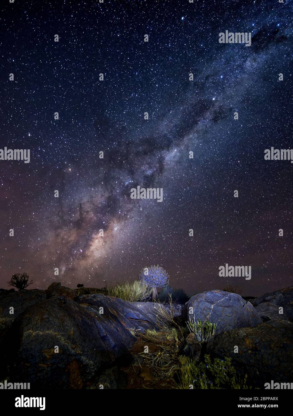 nightscape landscape, milky way Stock Photo - Alamy