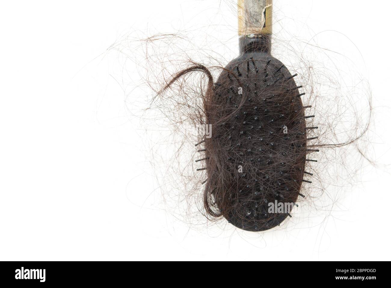 Used dirty hairbrush with lost hair on it, isolated on white background ...