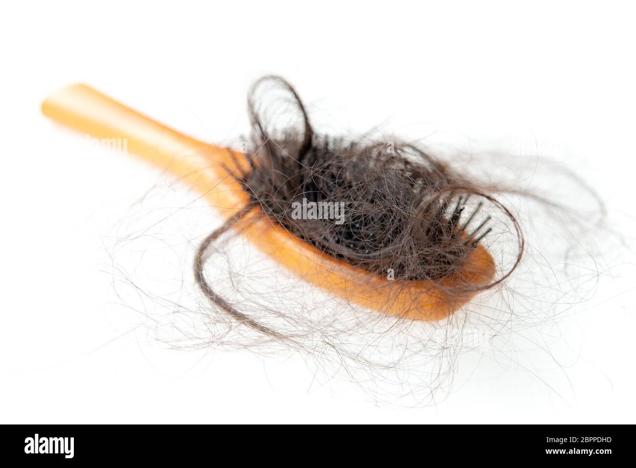 Hairloss problem. Hairbrush with lost hair on it, isolated on white ...