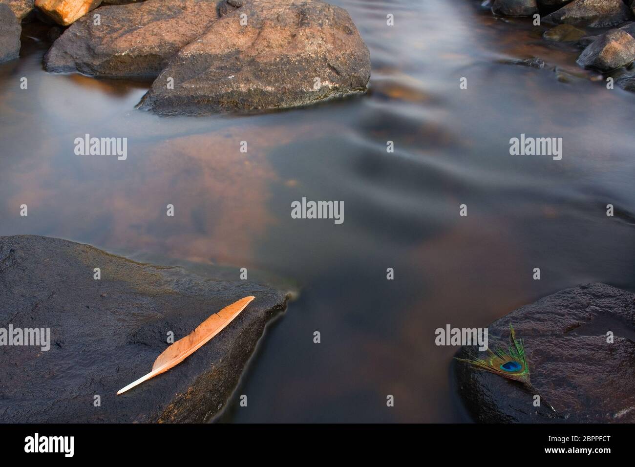 long exposure landscape close up feather in foreground Stock Photo - Alamy