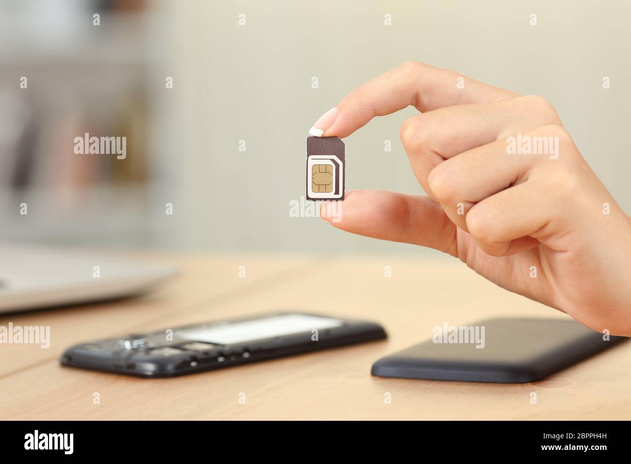 Close up of a woman hand holding sim card different sizes at home Stock ...
