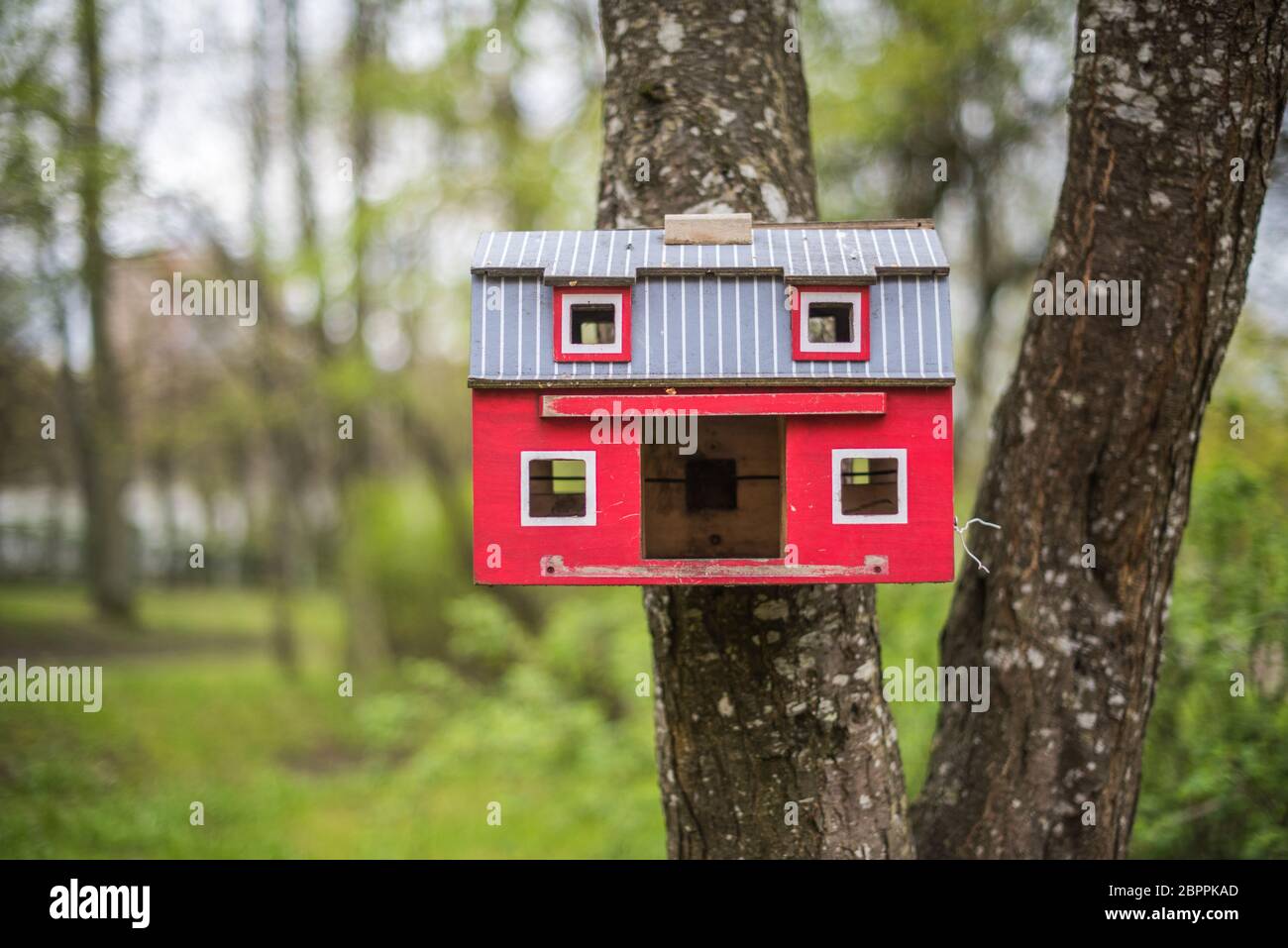 The red birdhouse on a tree in springtime forest Stock Photo - Alamy