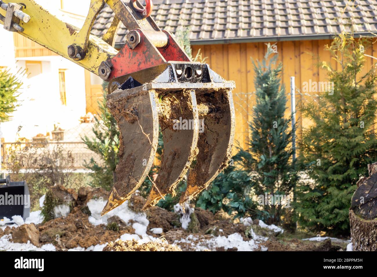 Removing tree root hi-res stock photography and images - Alamy