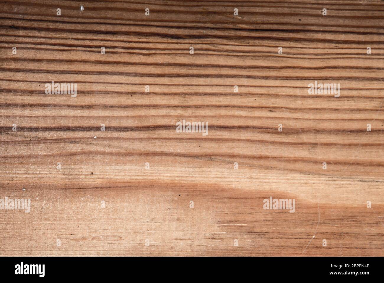 Cedar wood panels color texture Stock Photo - Alamy