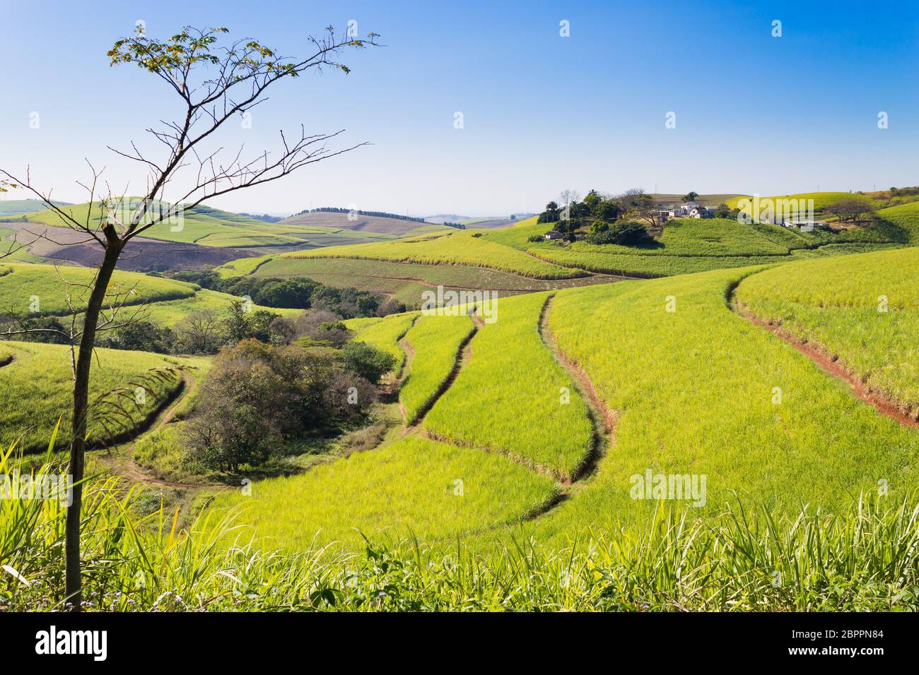 Valley of a Thousand hills landscape. Green hills panorama. South ...