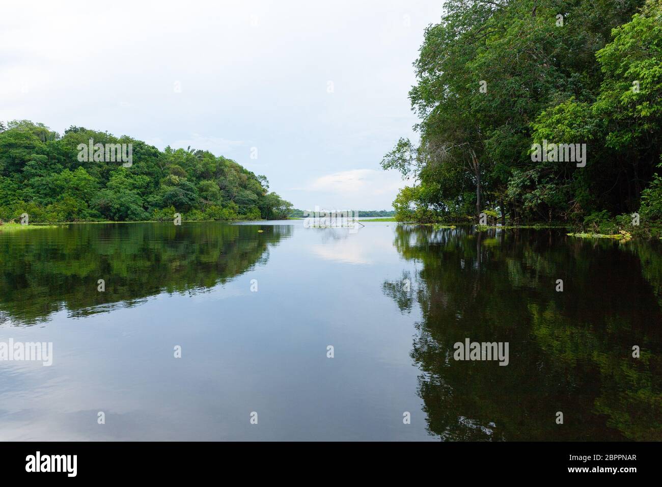 Panorama from Amazon rainforest, Brazilian wetland region. Navigable ...