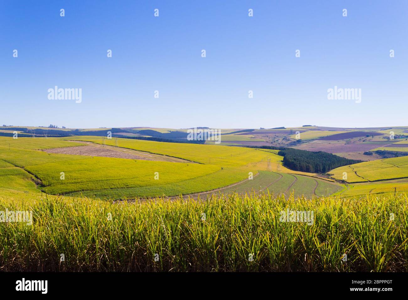 Valley of a Thousand hills landscape. Green hills panorama. South ...