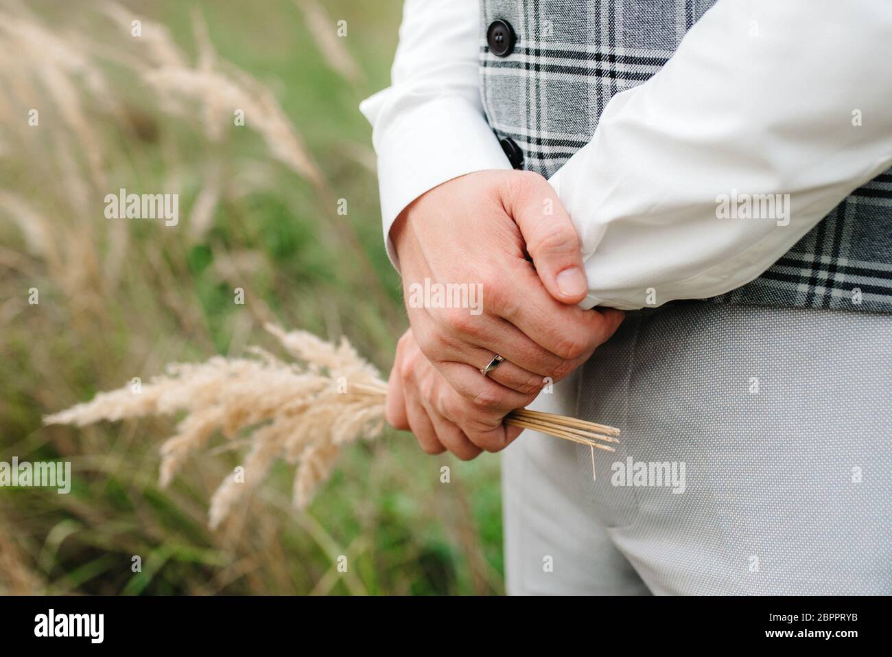 hands, palms, crossed, hold together, hands together forever Stock ...