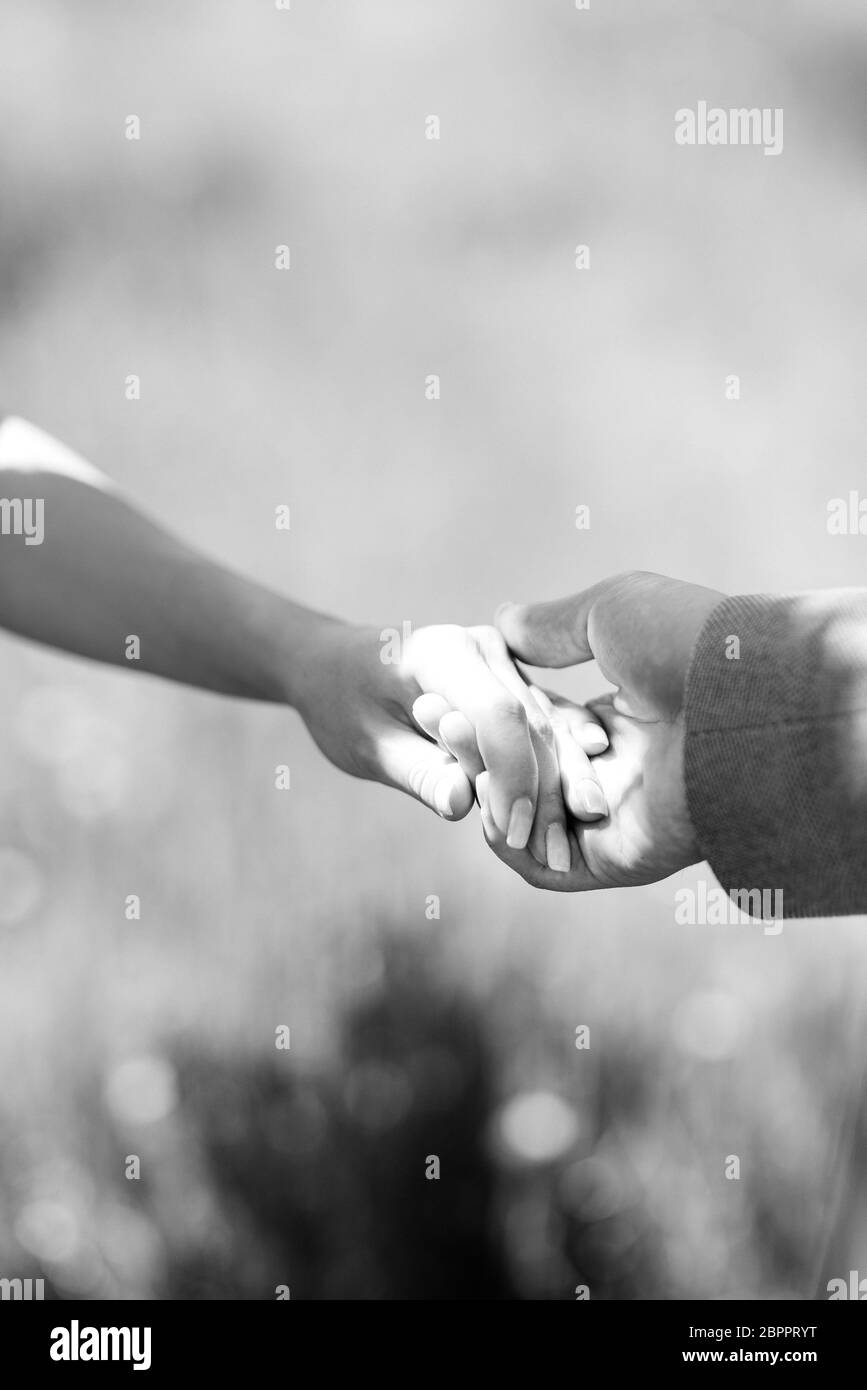 hands, palms, crossed, hold together, hands together forever Stock ...