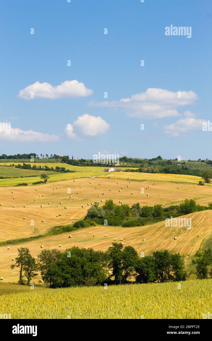 Tuscany hills landscape, Italy. Rural italian panorama Stock Photo - Alamy