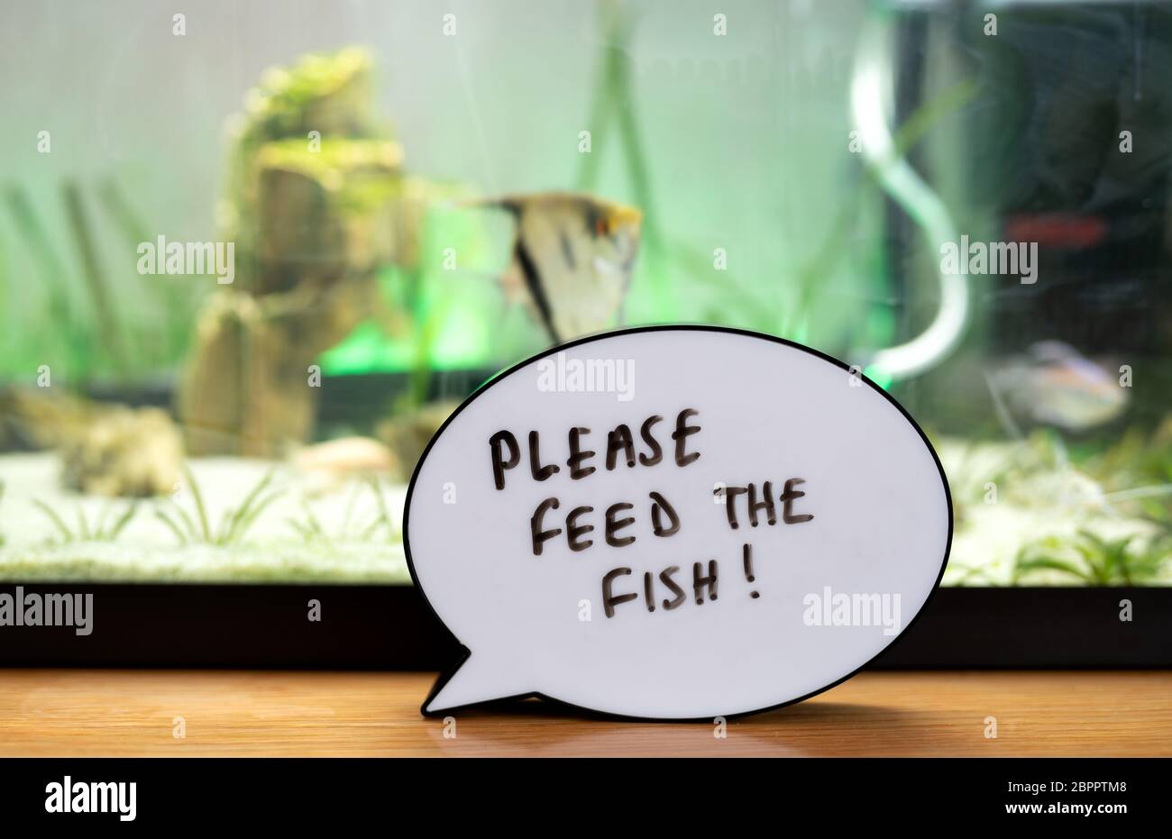 Please remember dont forget hi-res stock photography and images - Alamy