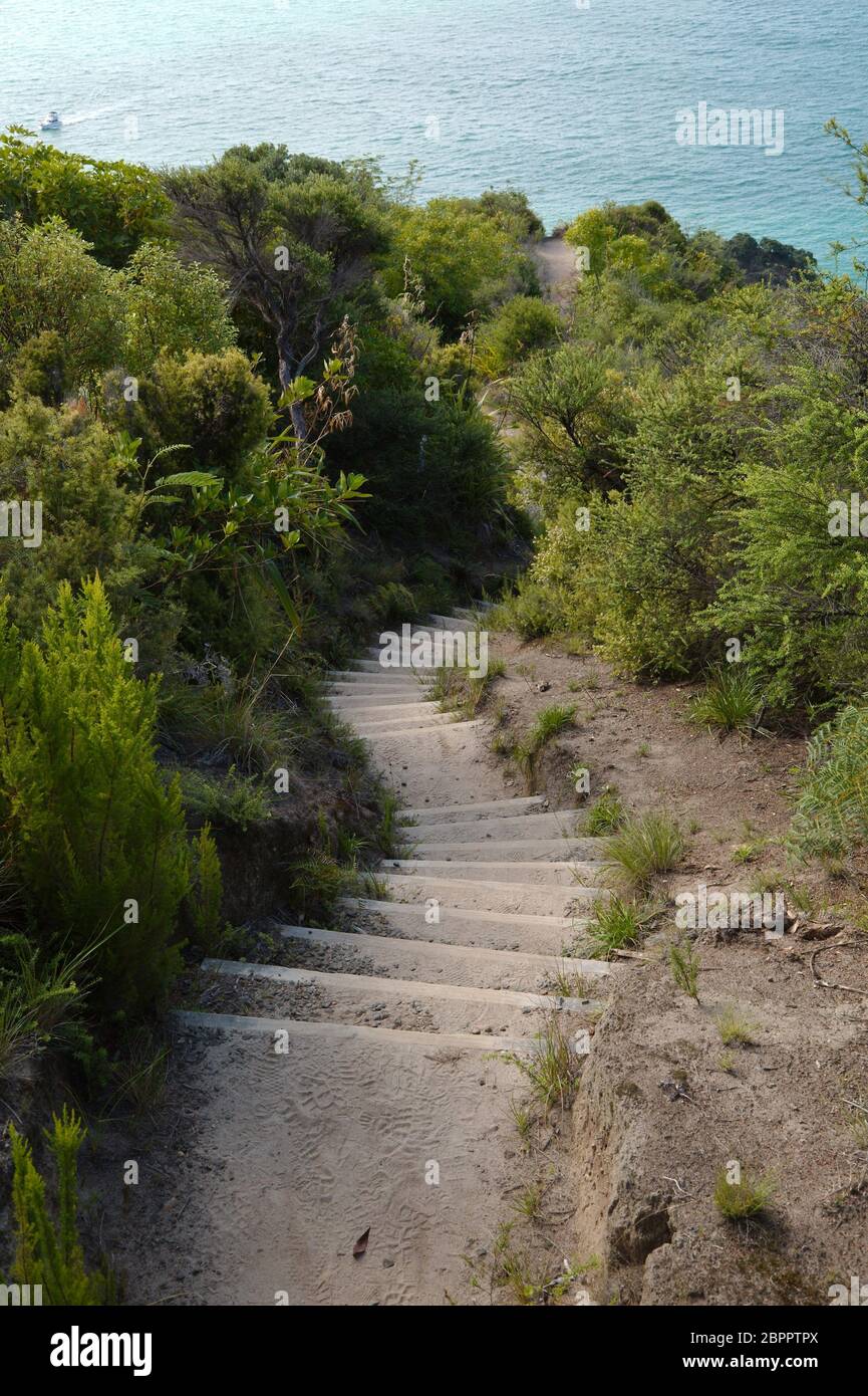 Kohi hi-res stock photography and images - Alamy