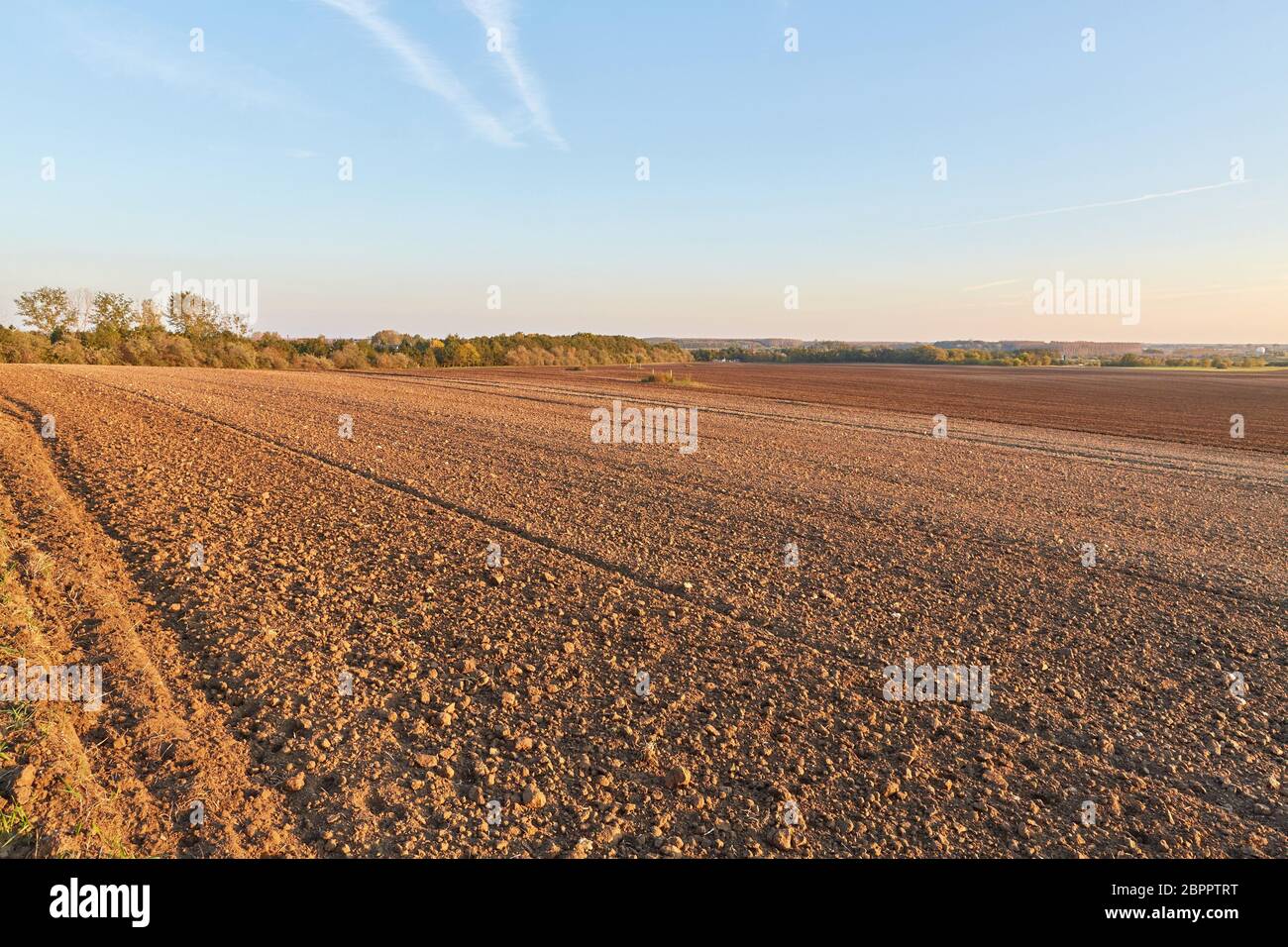 Agricultural field with tractor trail Stock Photo - Alamy