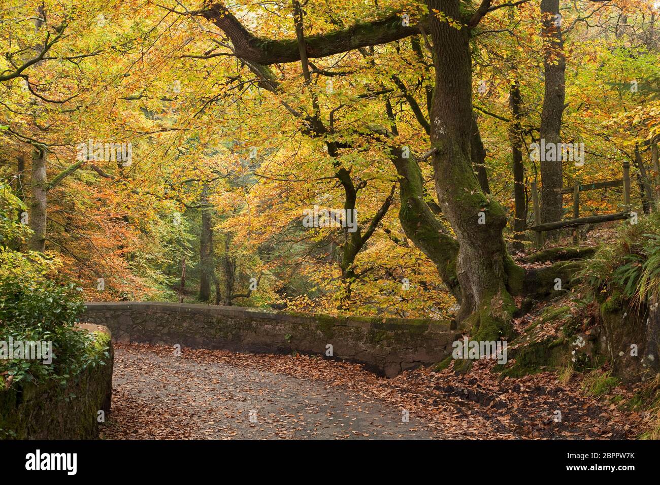 Trough House Bridge in Eskdale, Cumbria, UK Stock Photo - Alamy