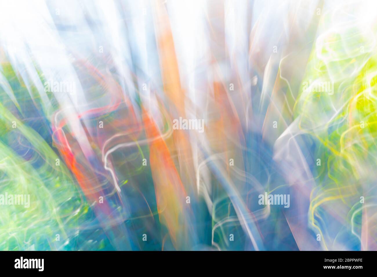 Nature abstract - colored flax blades motion blur Stock Photo - Alamy