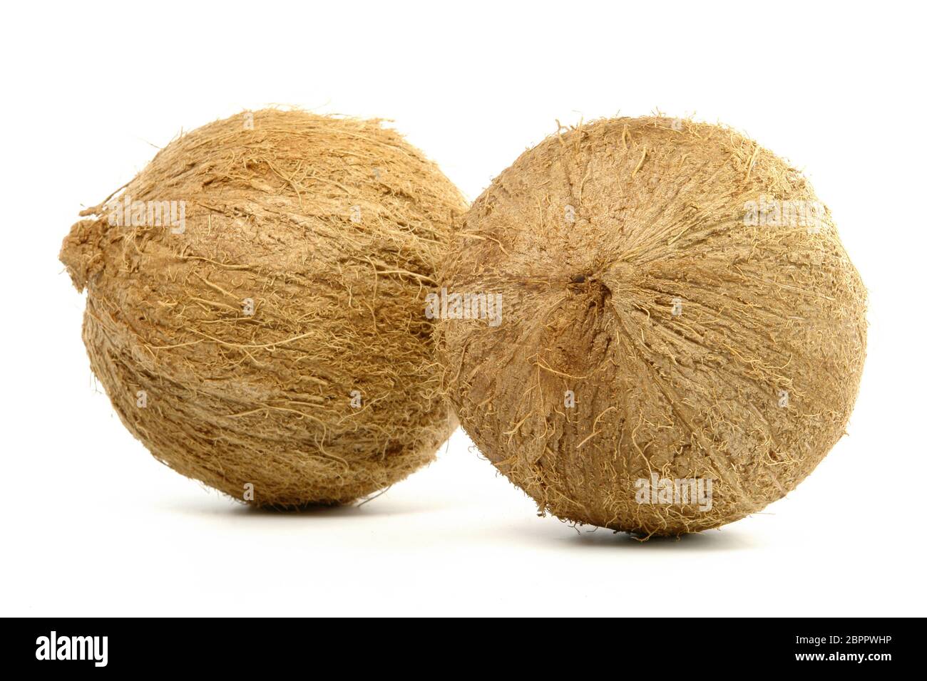 Double Coconut High Resolution Stock Photography and Images - Alamy