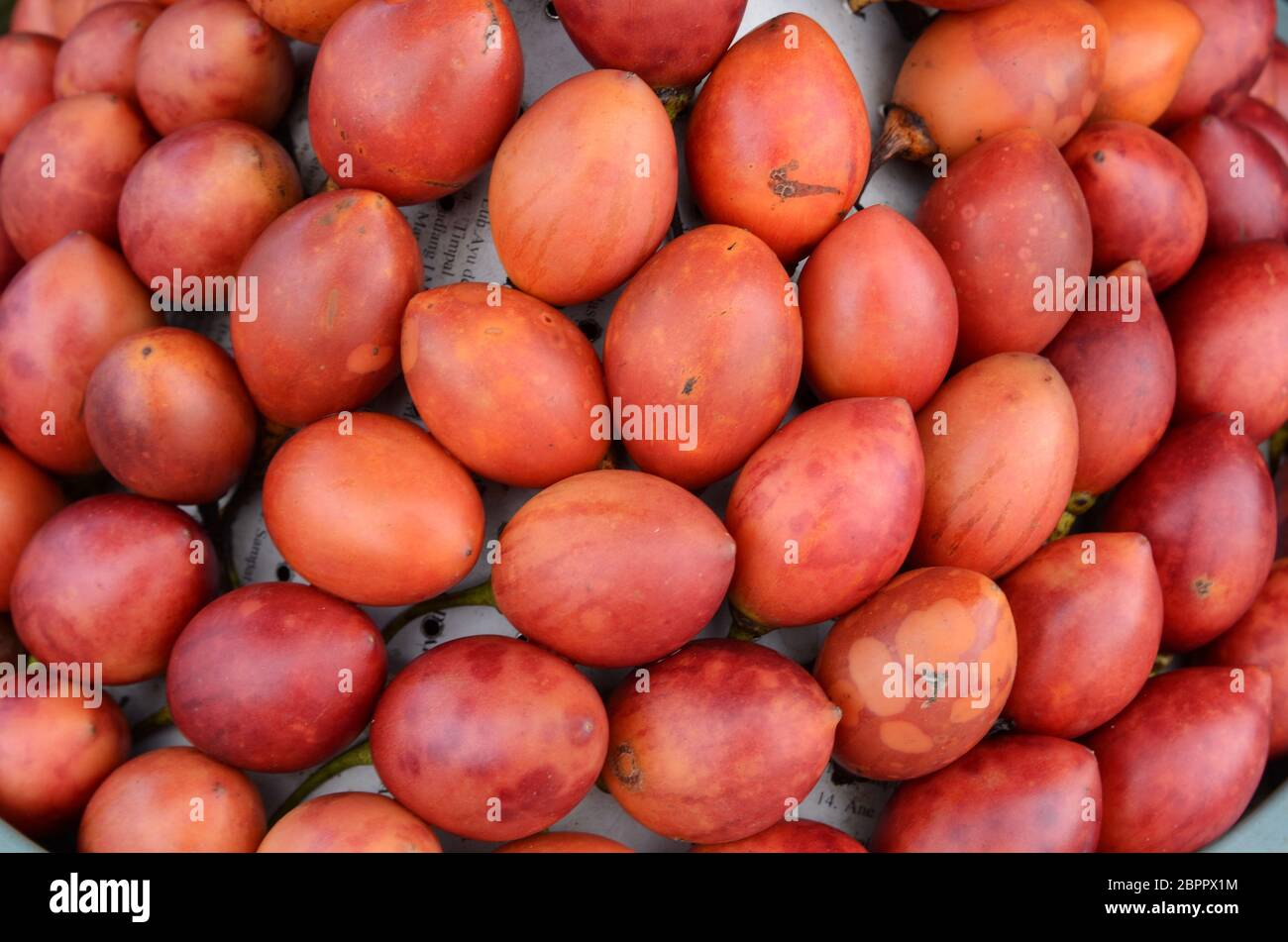 Tree tomato also known as tamarillo Stock Photo - Alamy