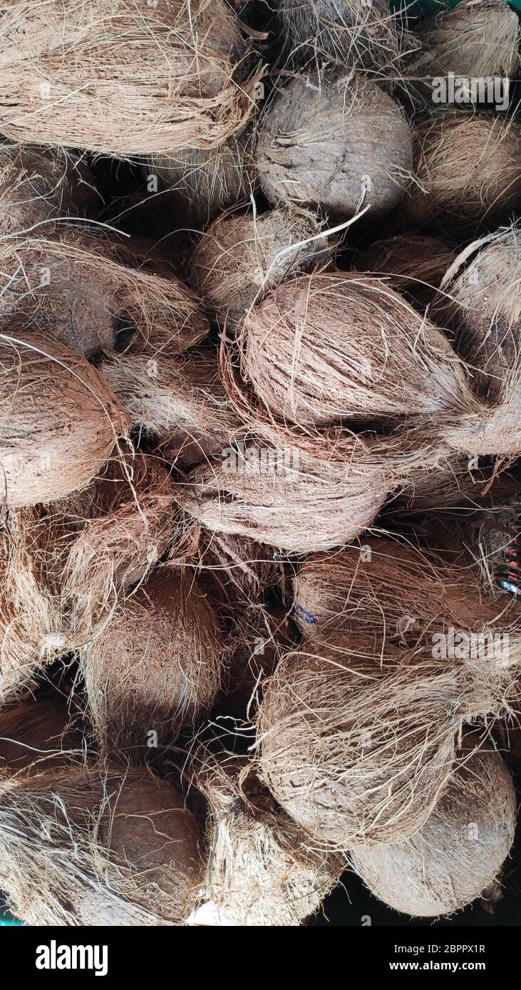 Large pile of coconuts hi-res stock photography and images - Alamy