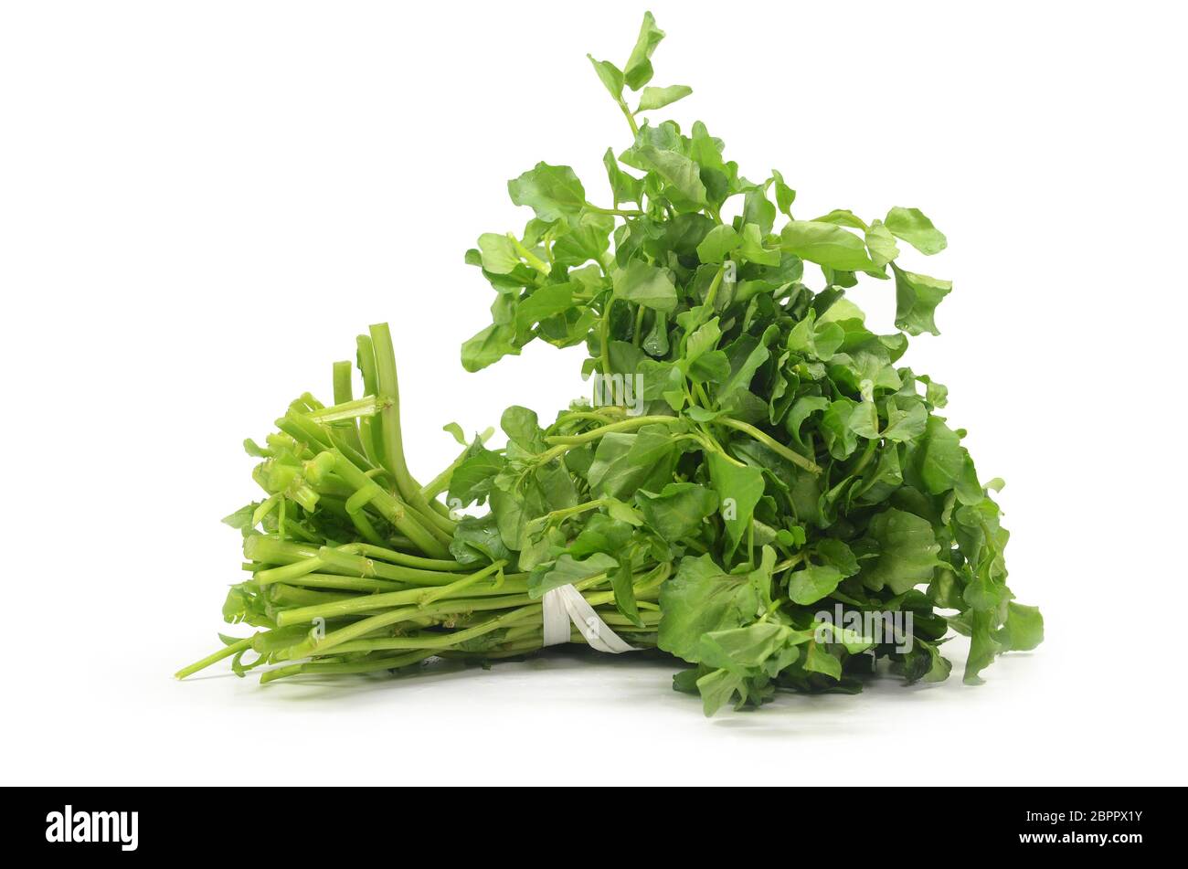 Watercress water cress bunch hi-res stock photography and images - Alamy