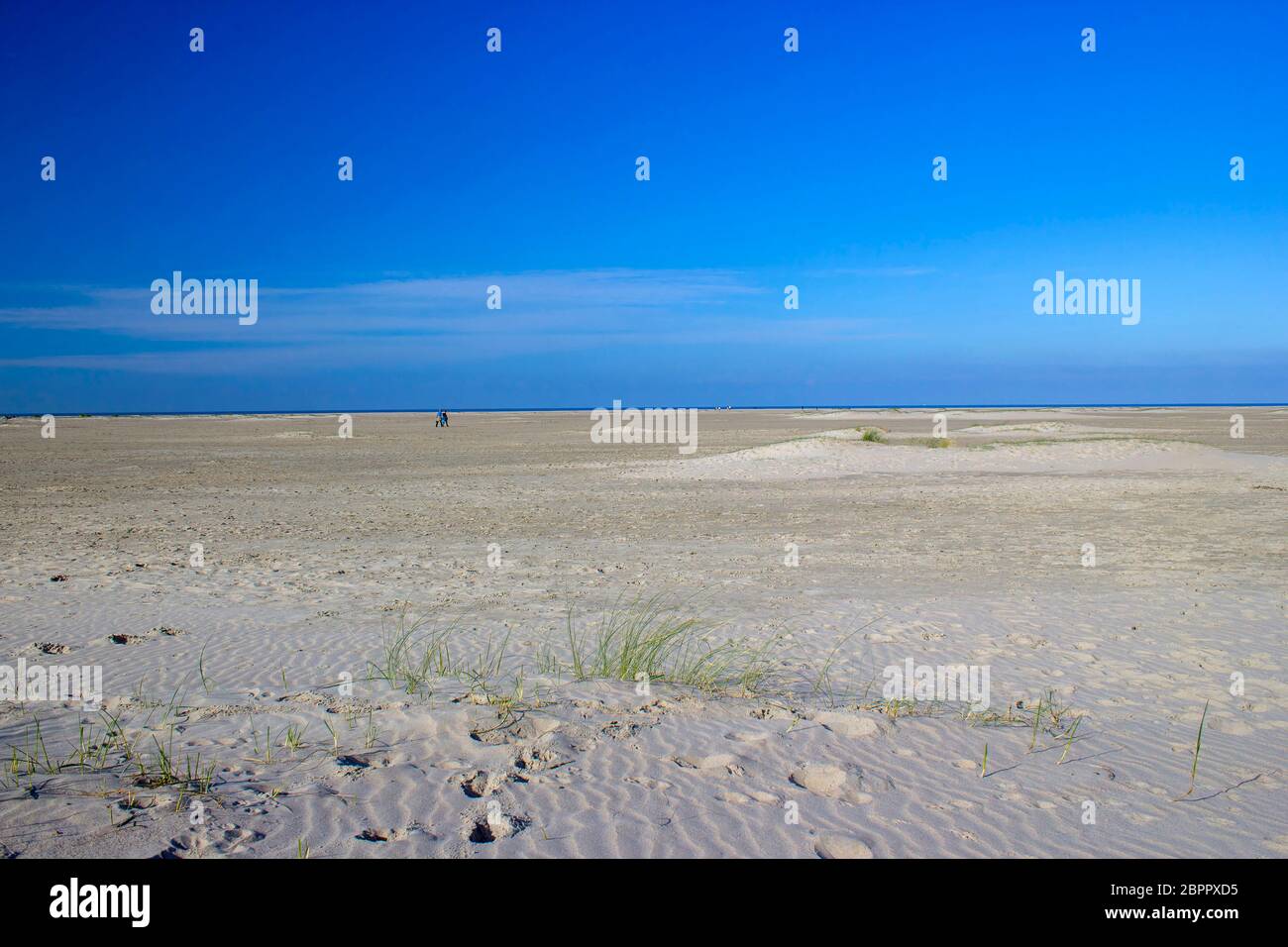beach in Renesse, Netherlands Stock Photo - Alamy