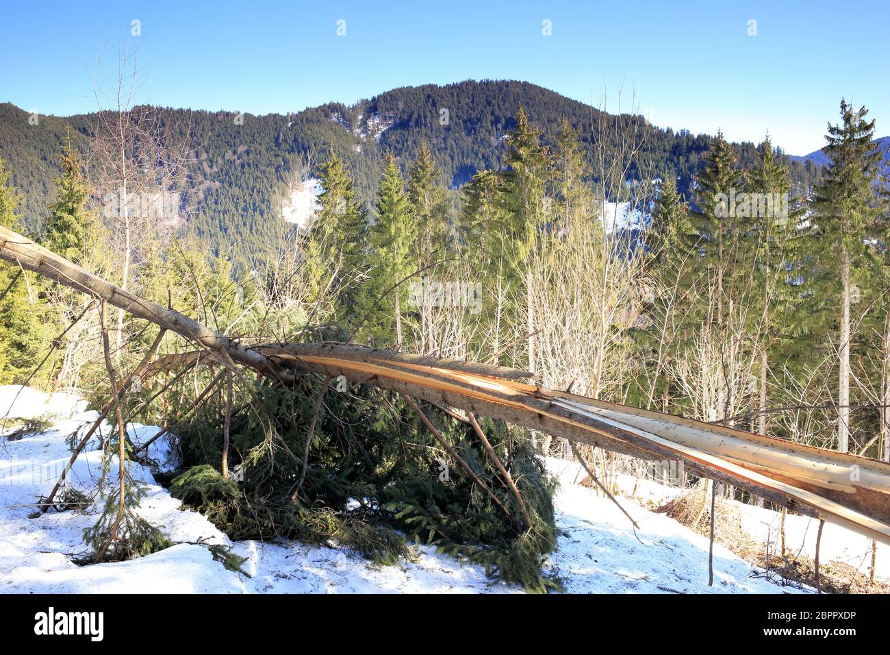 Broken wood effects hi-res stock photography and images - Alamy