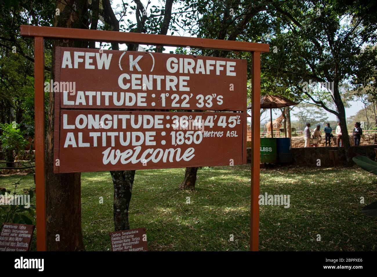 Giraffe Center High Resolution Stock Photography and Images - Alamy