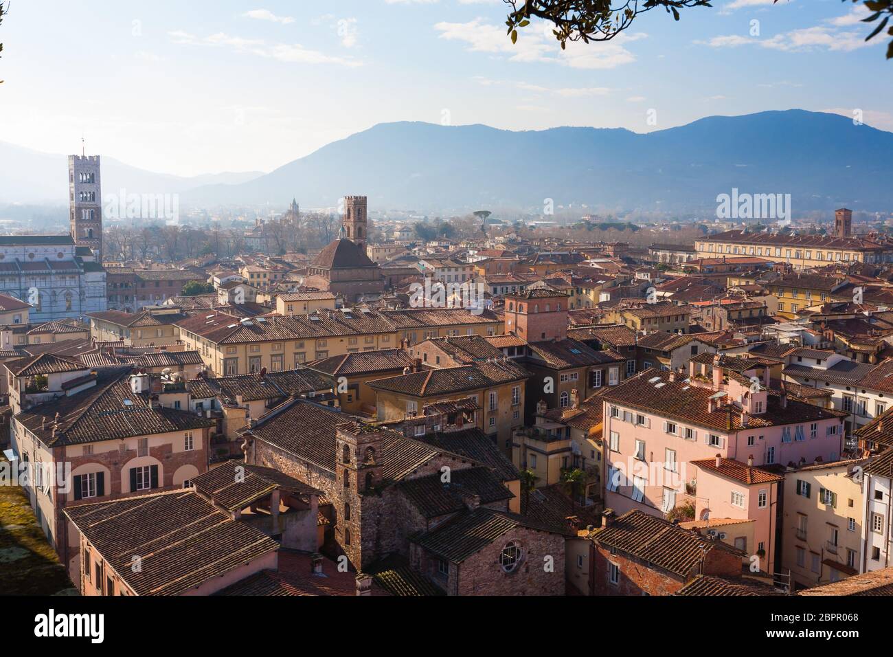 Lucca from Guinigi Tower. Italian landmark. Aerial view of Lucca Stock ...