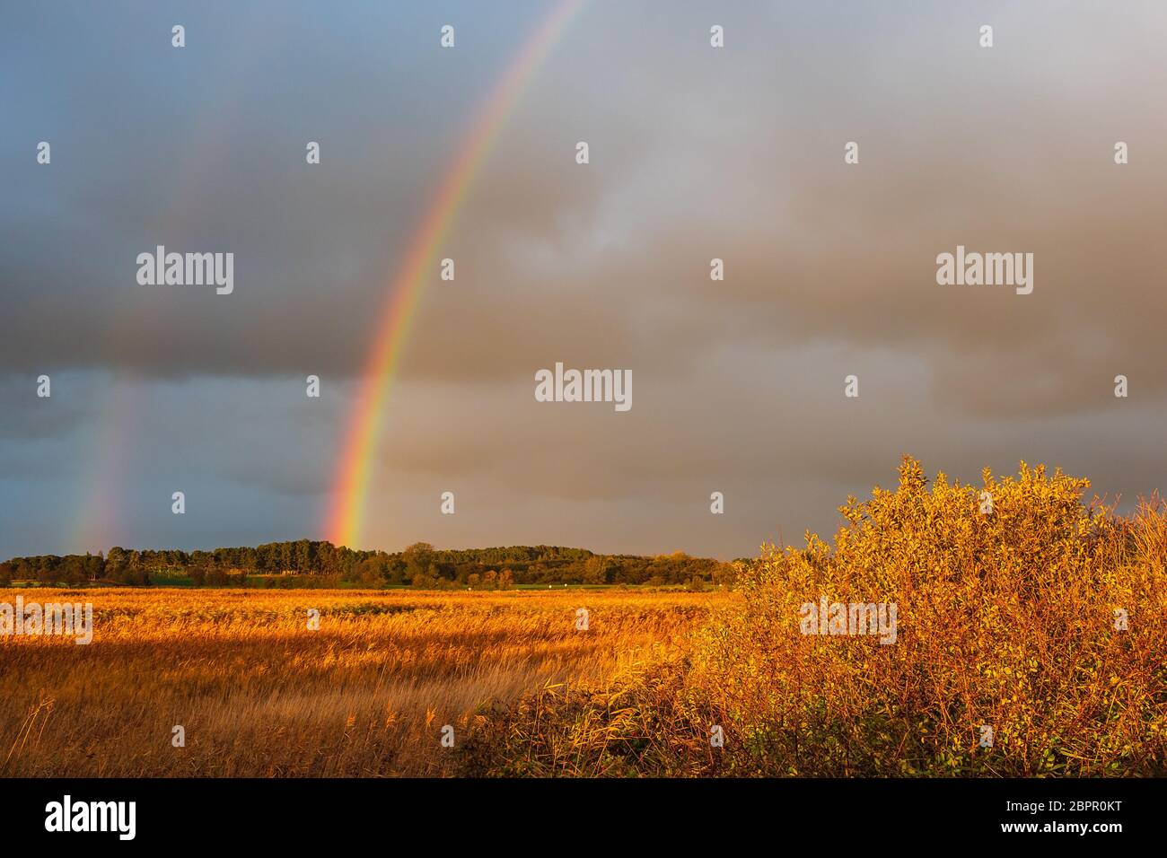 The island moen in denmark hi-res stock photography and images - Alamy