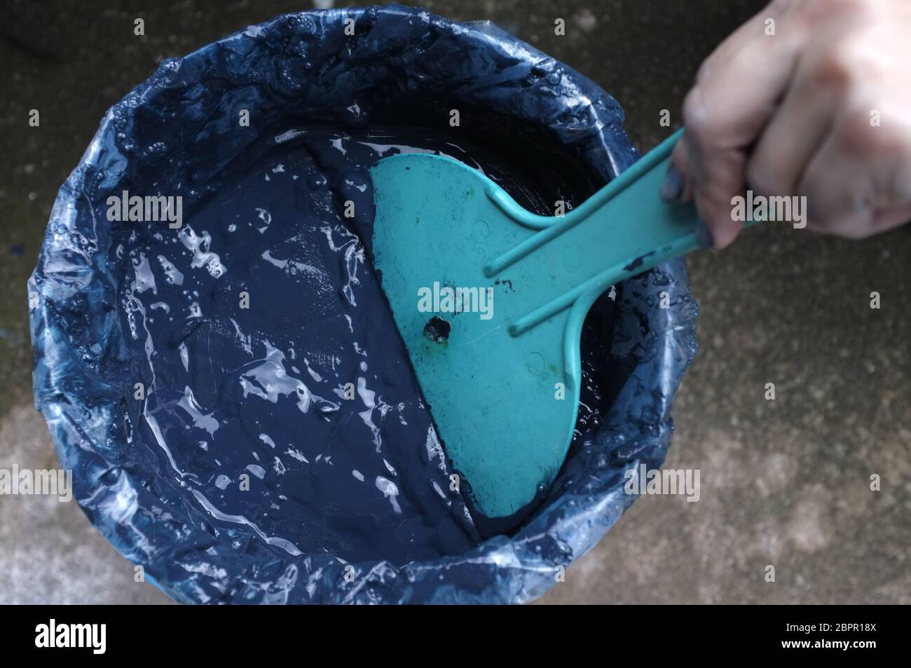 Traditional process of making indigo dye, Indigo cake in plastic bag ...