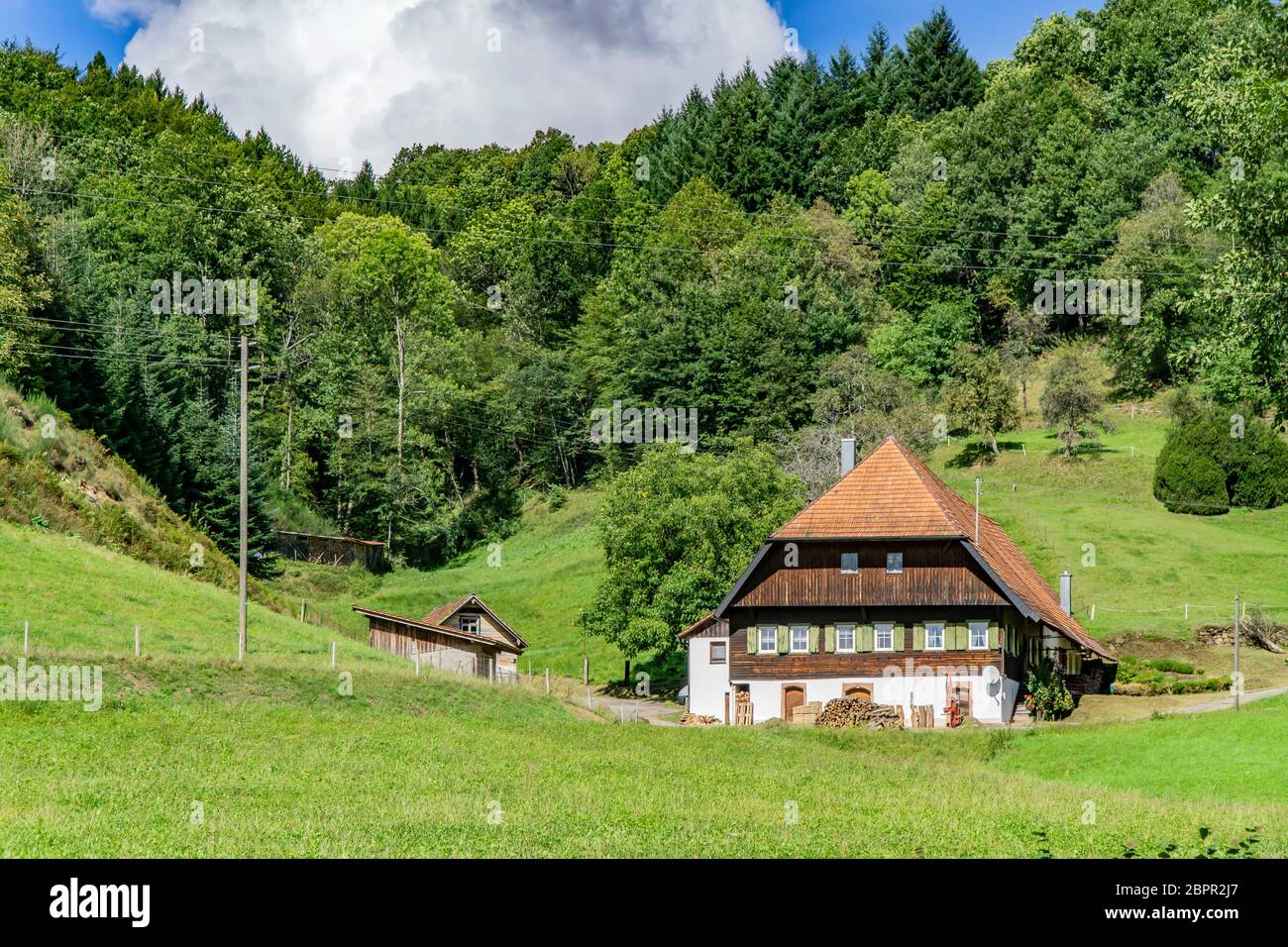 Traditional House in Black Forest in Baden Wuerttemberg in germany ...