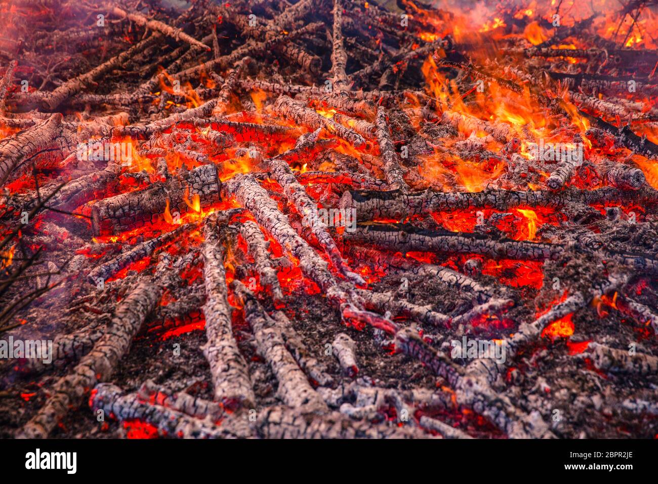 Full Frame of natural wild Fire Flames in Detail Stock Photo - Alamy