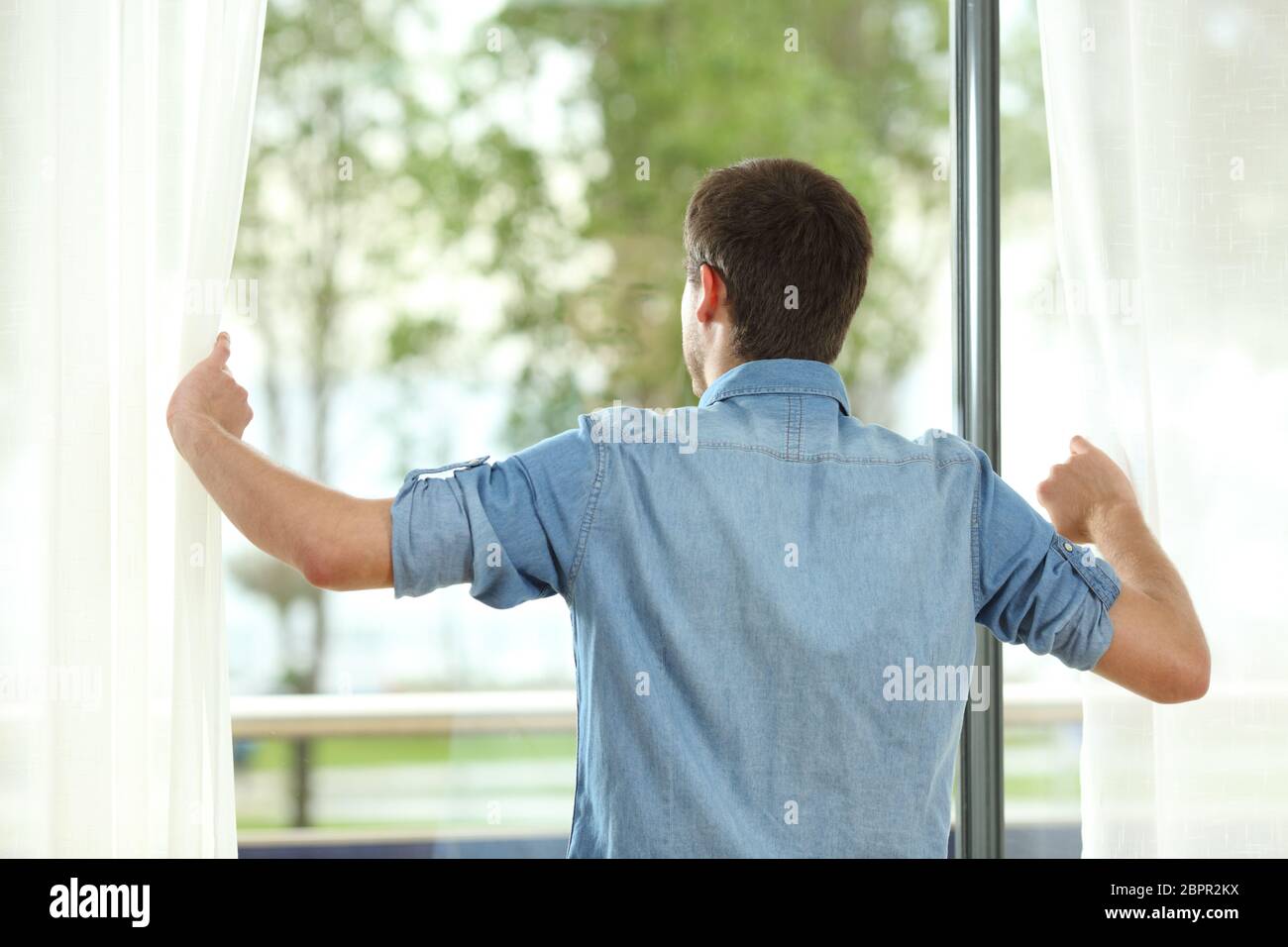 Back view portrait of a man opening curtains and looking away through ...