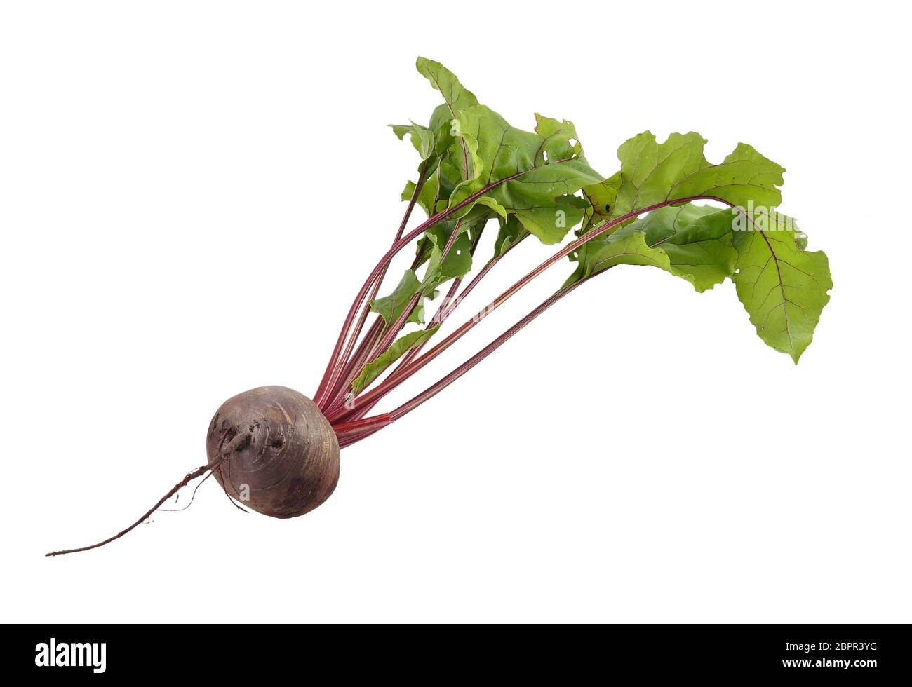 Beet fruit on white background Stock Photo - Alamy