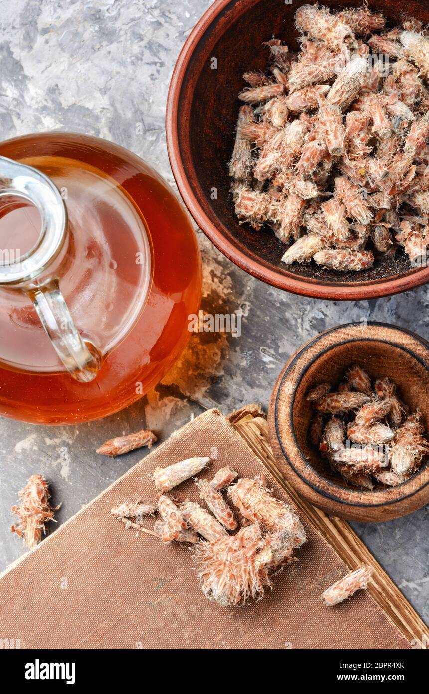 Pine buds for treating colds.Pine buds.Herbal medicine Stock Photo - Alamy