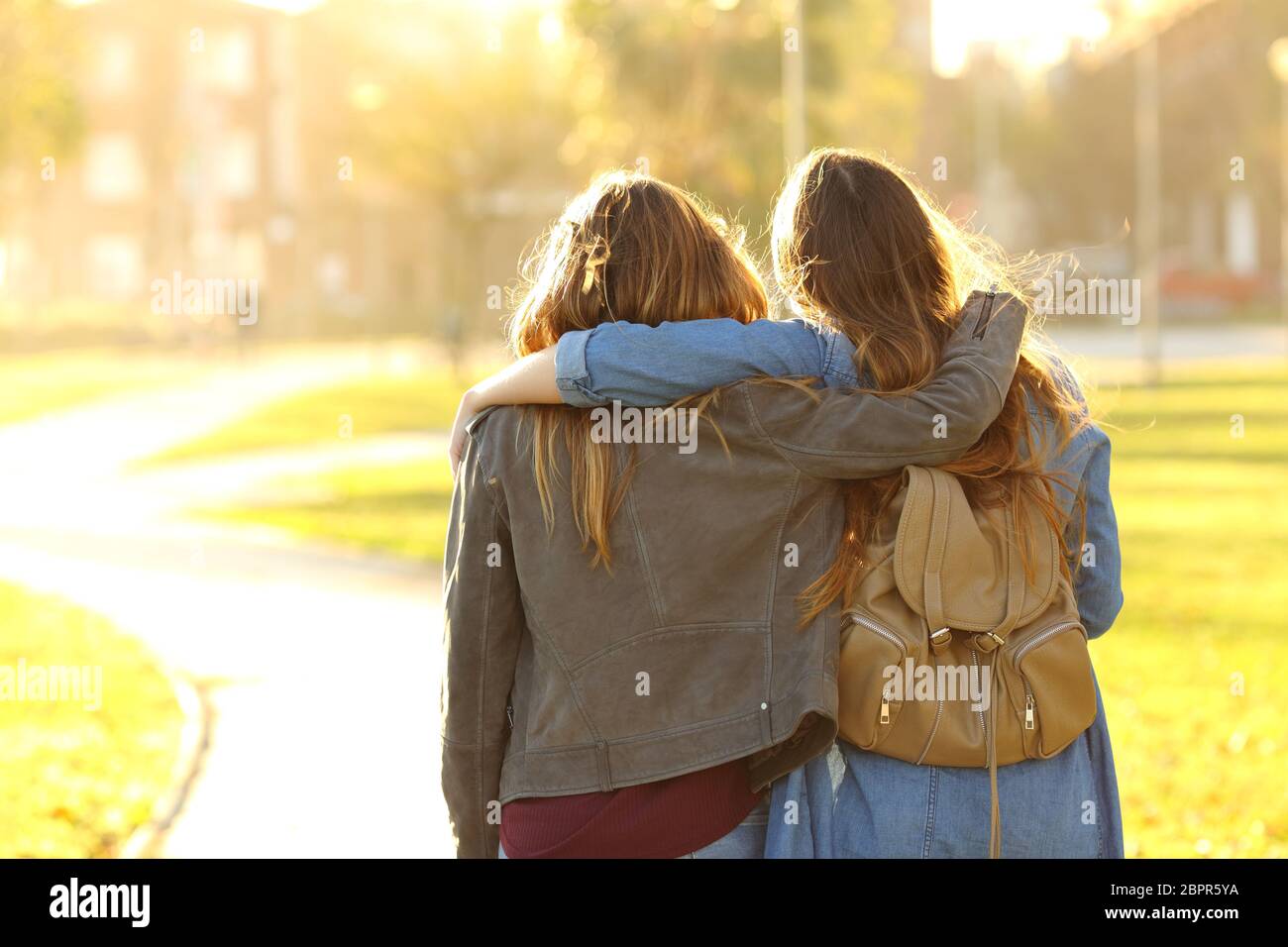 Back view portrait of two affectionate friends walking at sunset in a ...