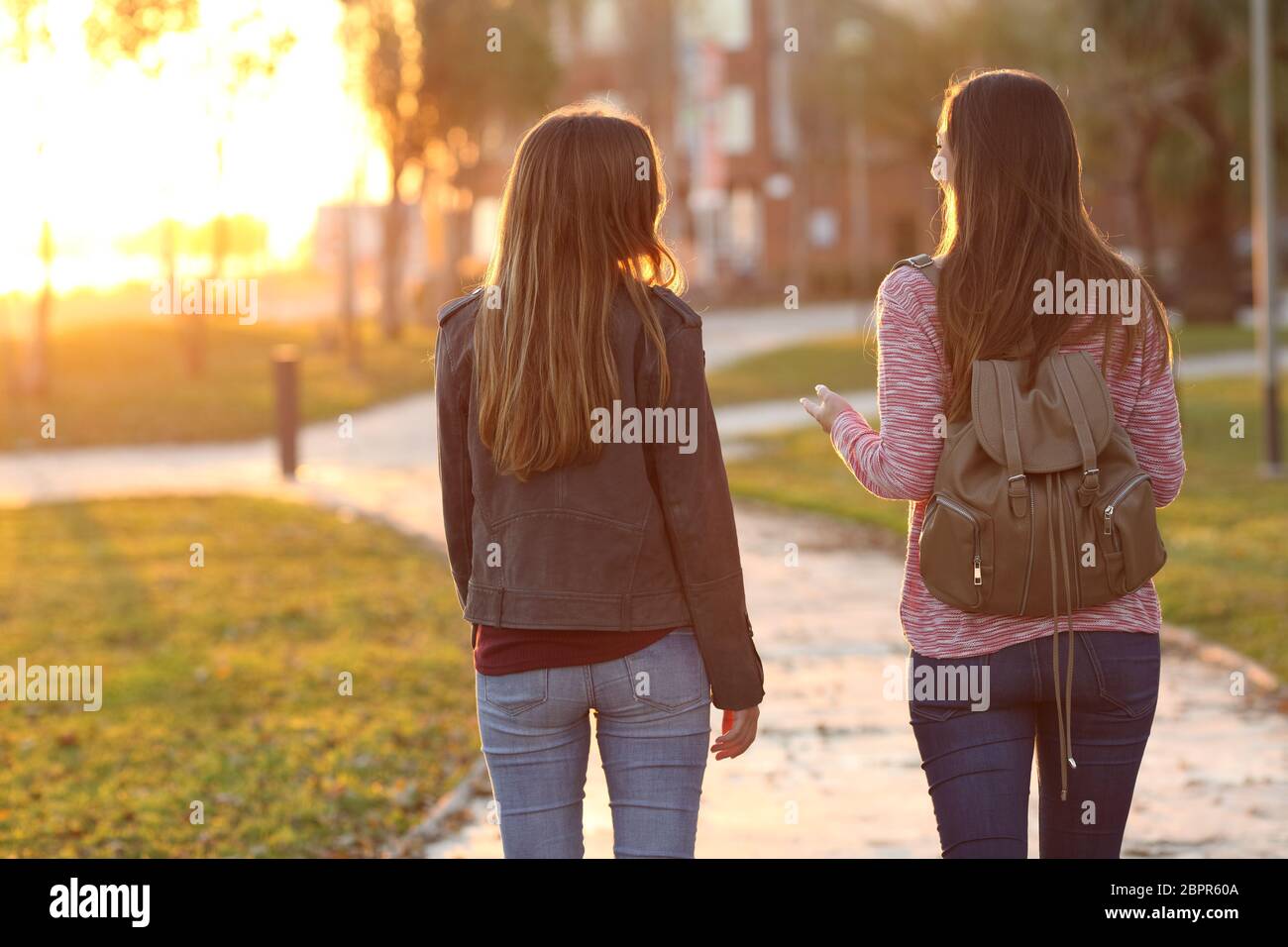 Back view of two friends walking together in a park at sunrise with a ...