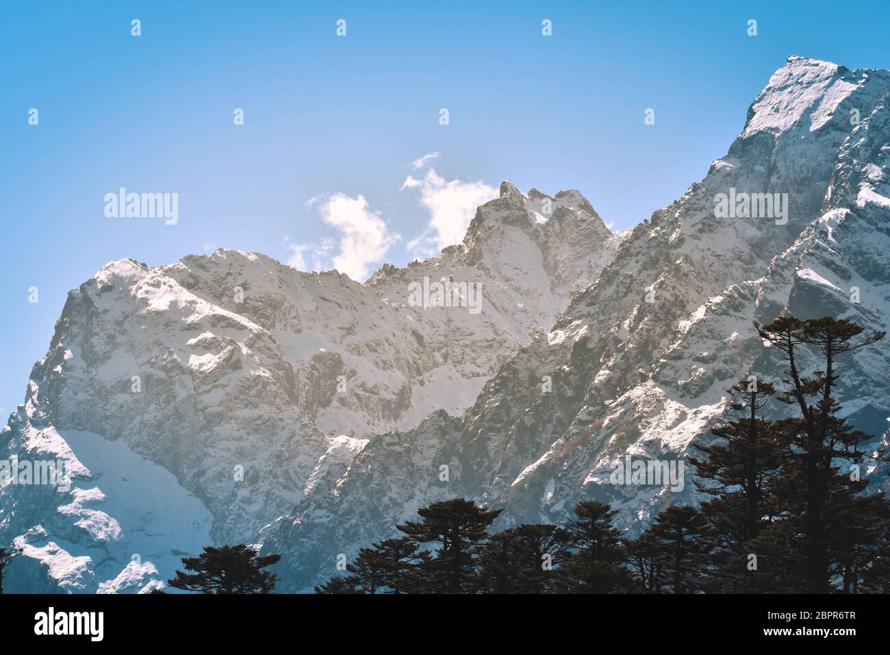 Selective focus: Yumthang Valley or Valley of Flowers sanctuary, is a ...