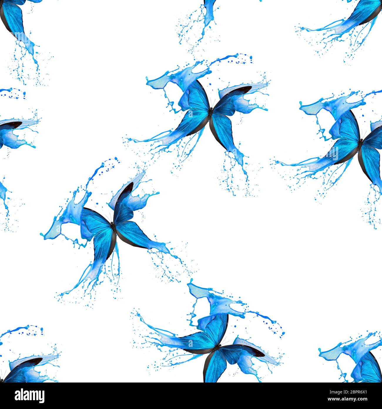 seamless blue butterfly pattern isolated on a white background Stock ...