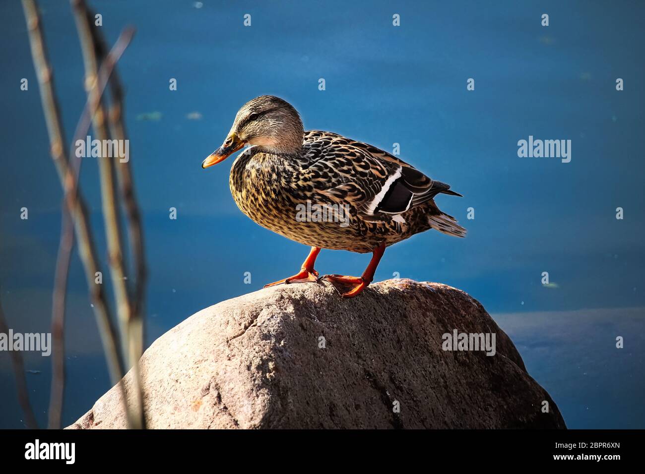 Bolder lake hi-res stock photography and images - Alamy