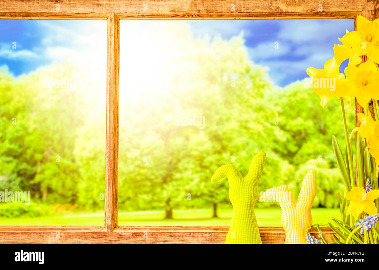 Window Frame With View To Beautiful Scenery Like Trees And Sunny Blue ...