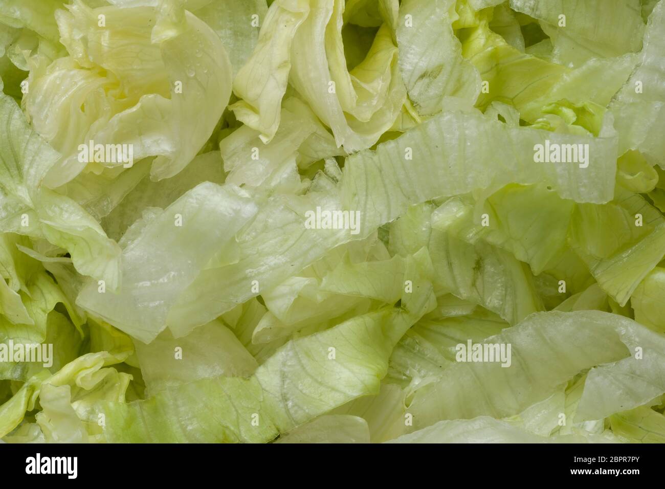 close up of julienned lettuce food background Stock Photo - Alamy
