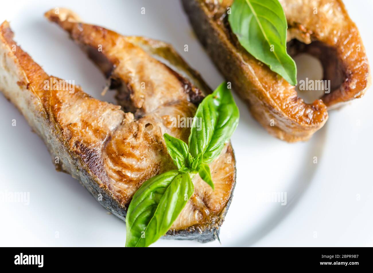 Yellowtail jack hi-res stock photography and images - Alamy