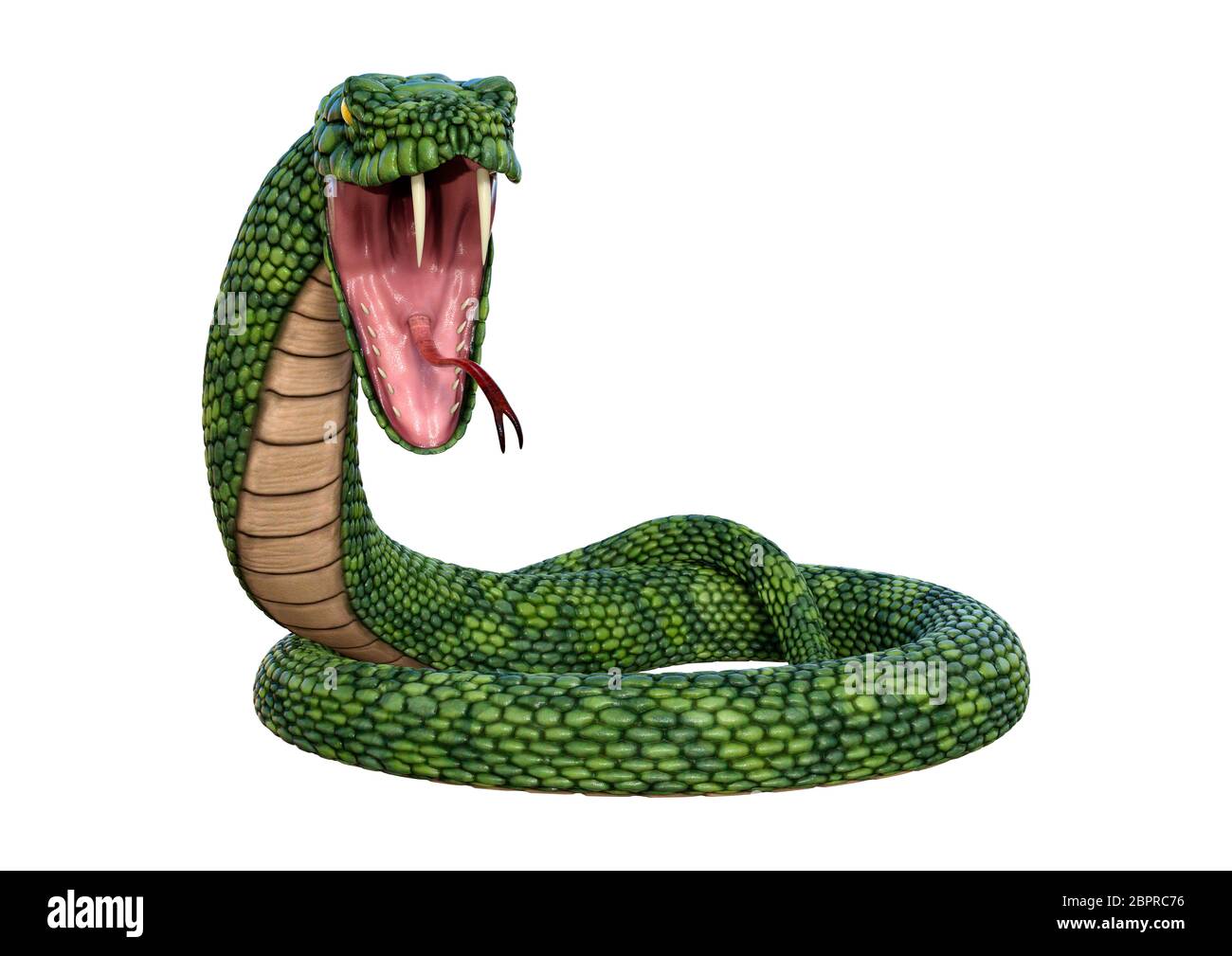 3D rendering of a green giant fantasy snake isolated on white ...
