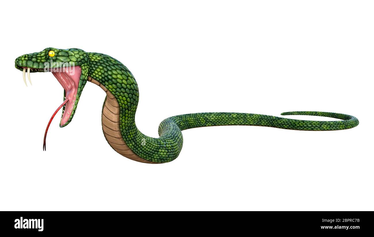 3D rendering of a green giant fantasy snake isolated on white ...